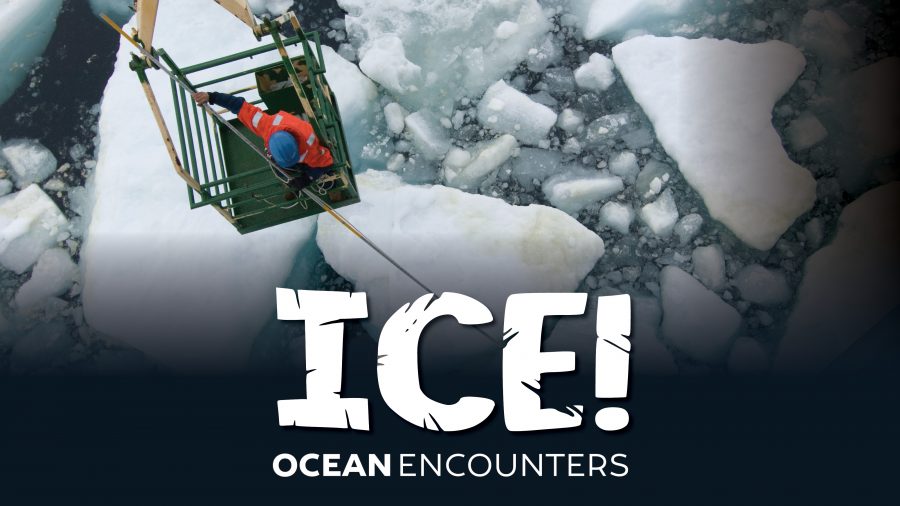 Photosynthesis vs. Chemosynthesis – Woods Hole Oceanographic Institution