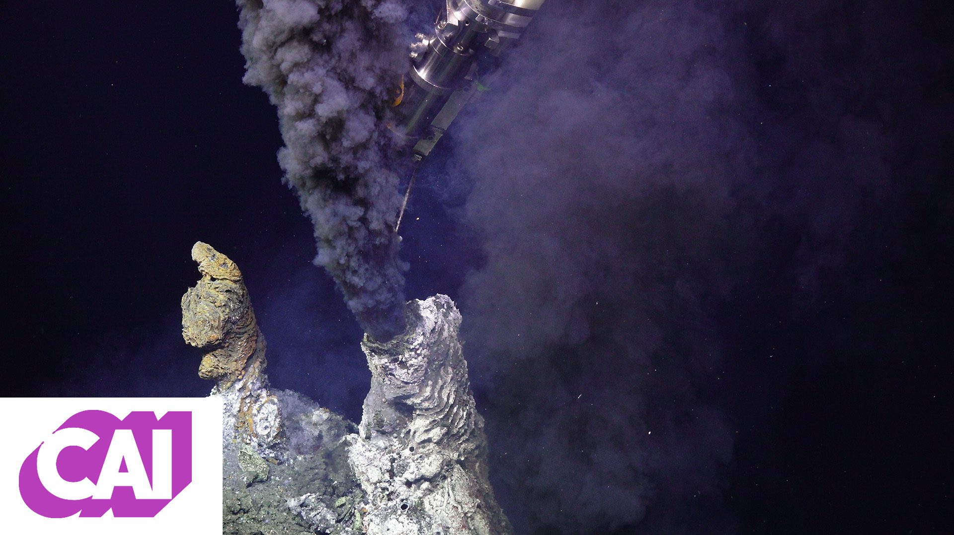 Deep-sea hydrothermal vents: Life in extreme environments