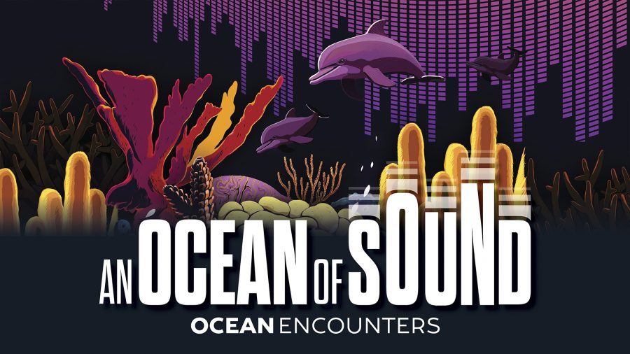 Sonic Seas: Using Sound to Understand and Conserve the Ocean – Woods ...