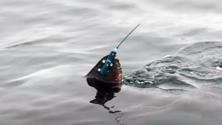 ROAM Tags - Woods Hole Oceanographic Institution