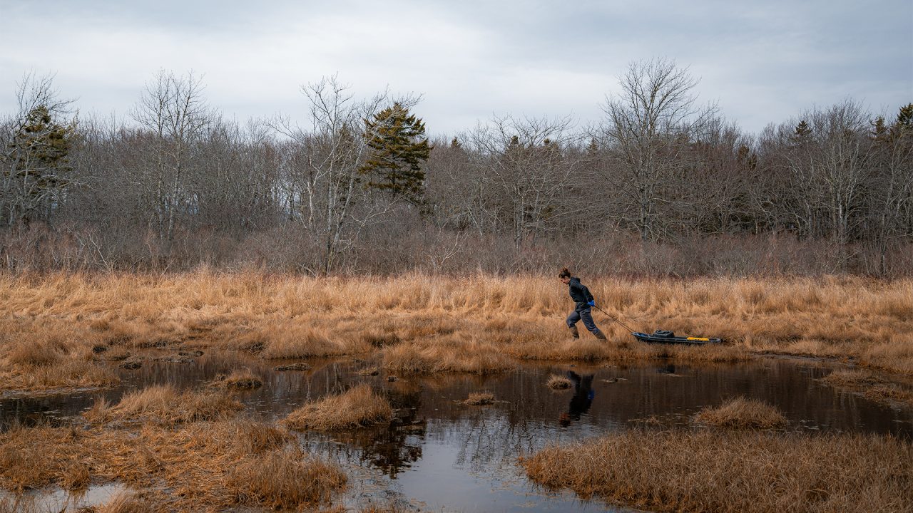 Cold, quiet, and carbon-rich: Investigating winter wetlands - Woods ...