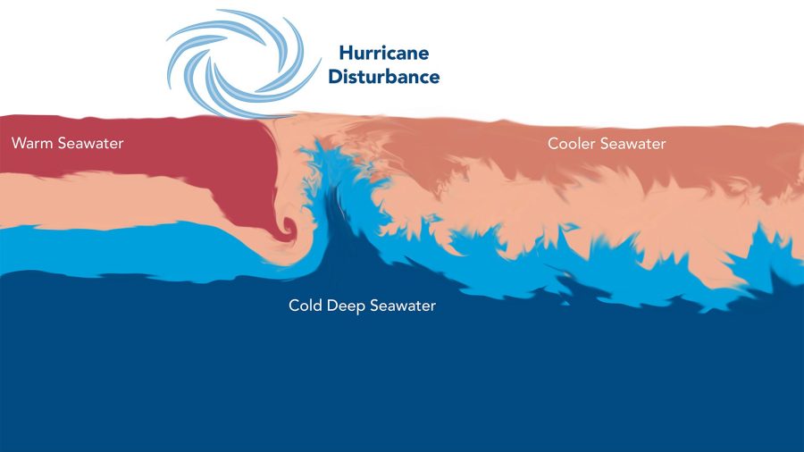 How a hurricane forms - Woods Hole Oceanographic Institution