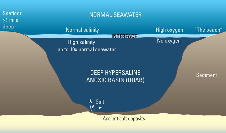 How a Deep Hypersaline Anoxic Basin (DHAB) forms – Woods Hole ...