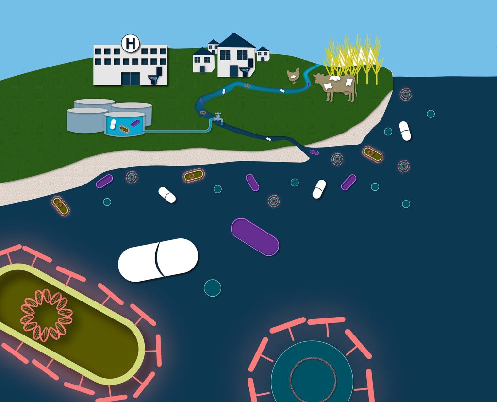 What are marine microplastics? – Woods Hole Oceanographic Institution