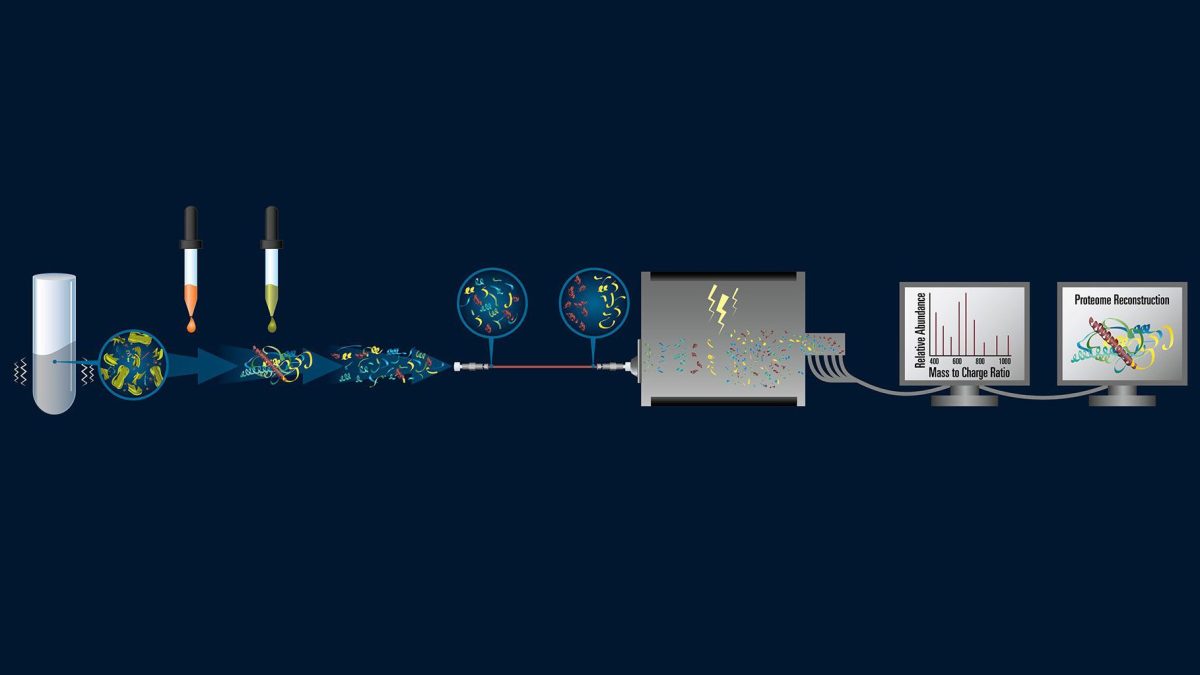 Mass spectrometry process – Woods Hole Oceanographic Institution