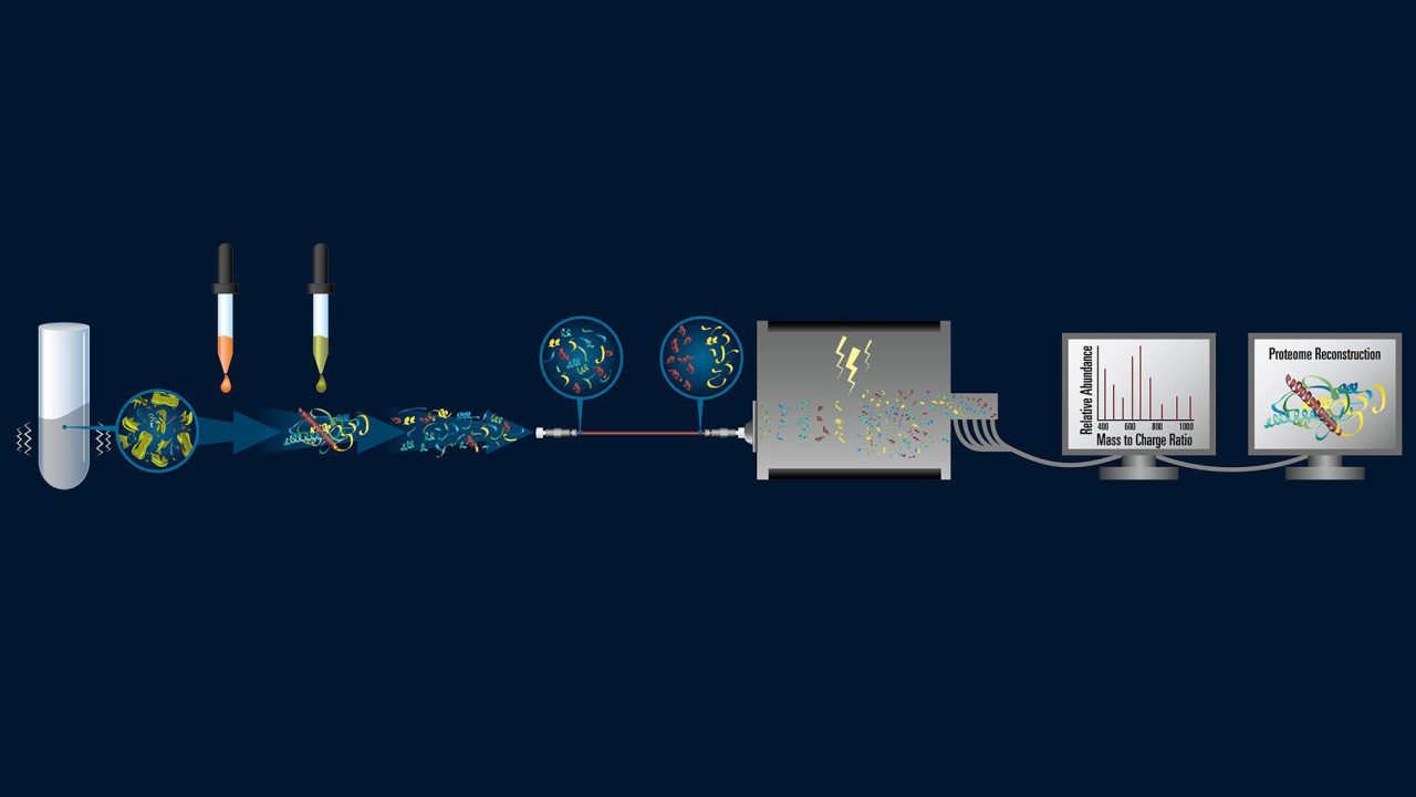Mass spectrometry process – Woods Hole Oceanographic Institution