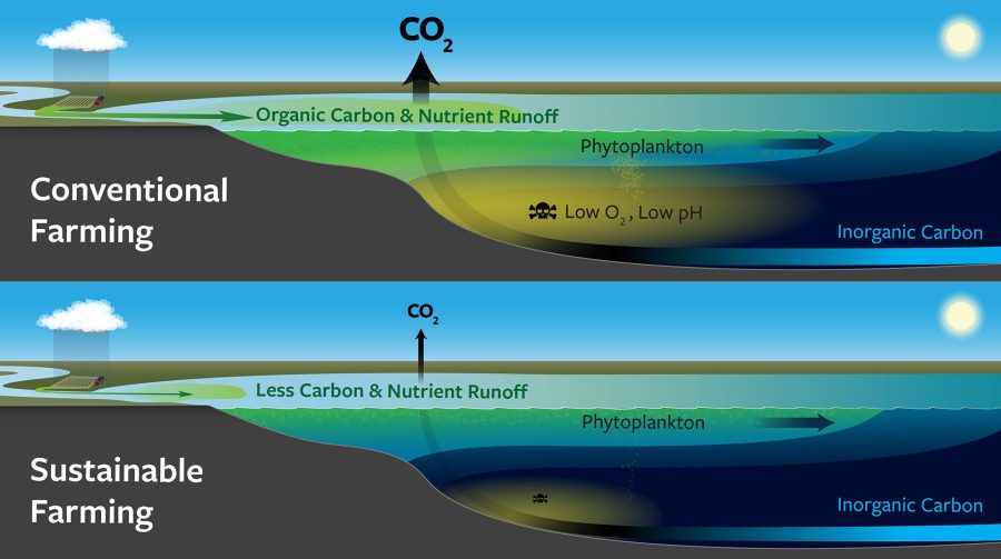Carbon without Borders, conventional vs sustainable farming – Woods ...