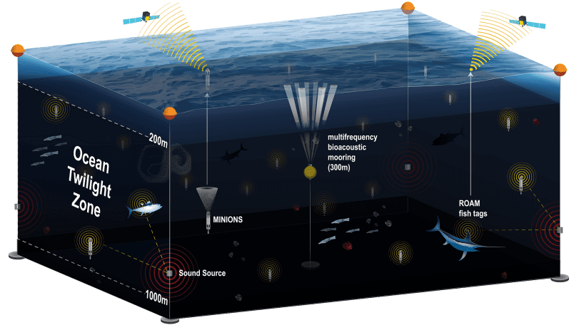 Acoustic Sensing Cube in the Ocean Twilight Zone - Woods Hole ...