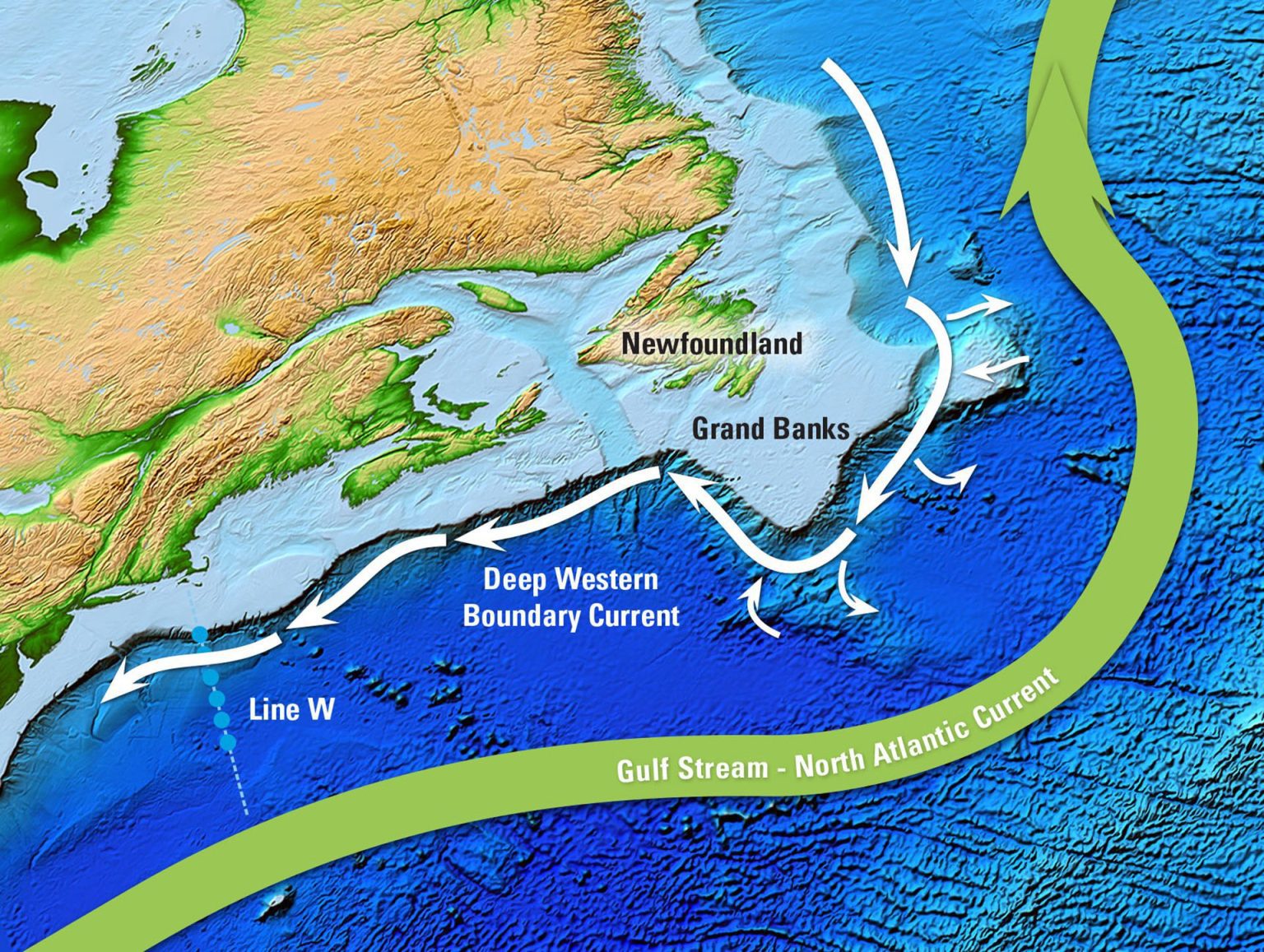 Deep Western Boundary Current Circulation – Woods Hole Oceanographic ...