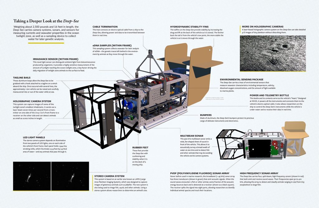 Taking a deeper look at Deep-Sea – Woods Hole Oceanographic Institution