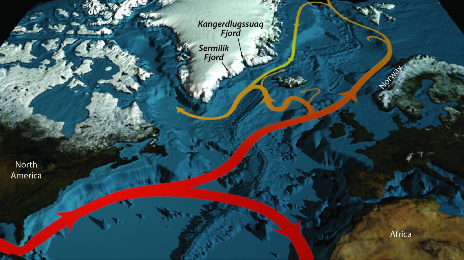 Atlantic Ocean currents carrying warm water up to Greenland – Woods ...