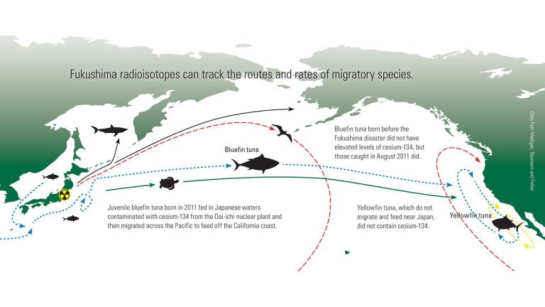 Anatomy of a Tsunami – Woods Hole Oceanographic Institution