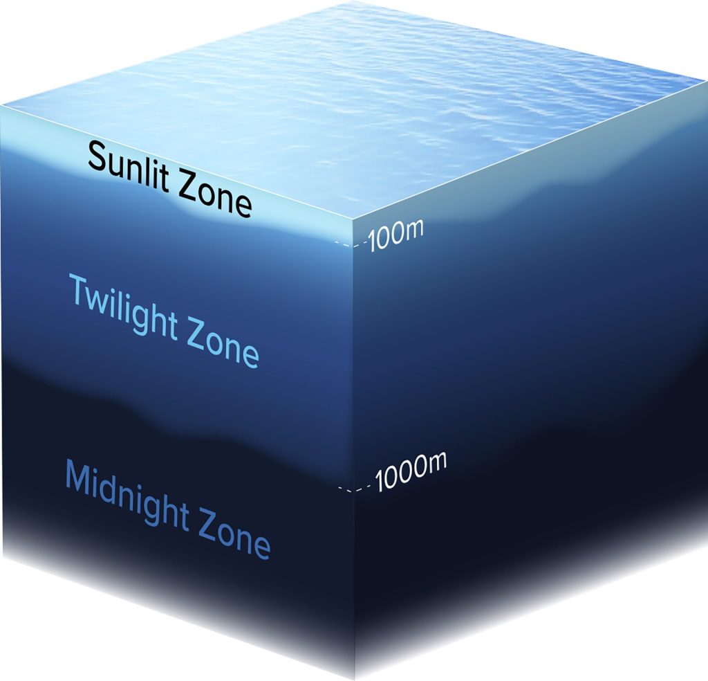 Sunlit, Twilight, and Midnight Zones in a cube – Woods Hole ...