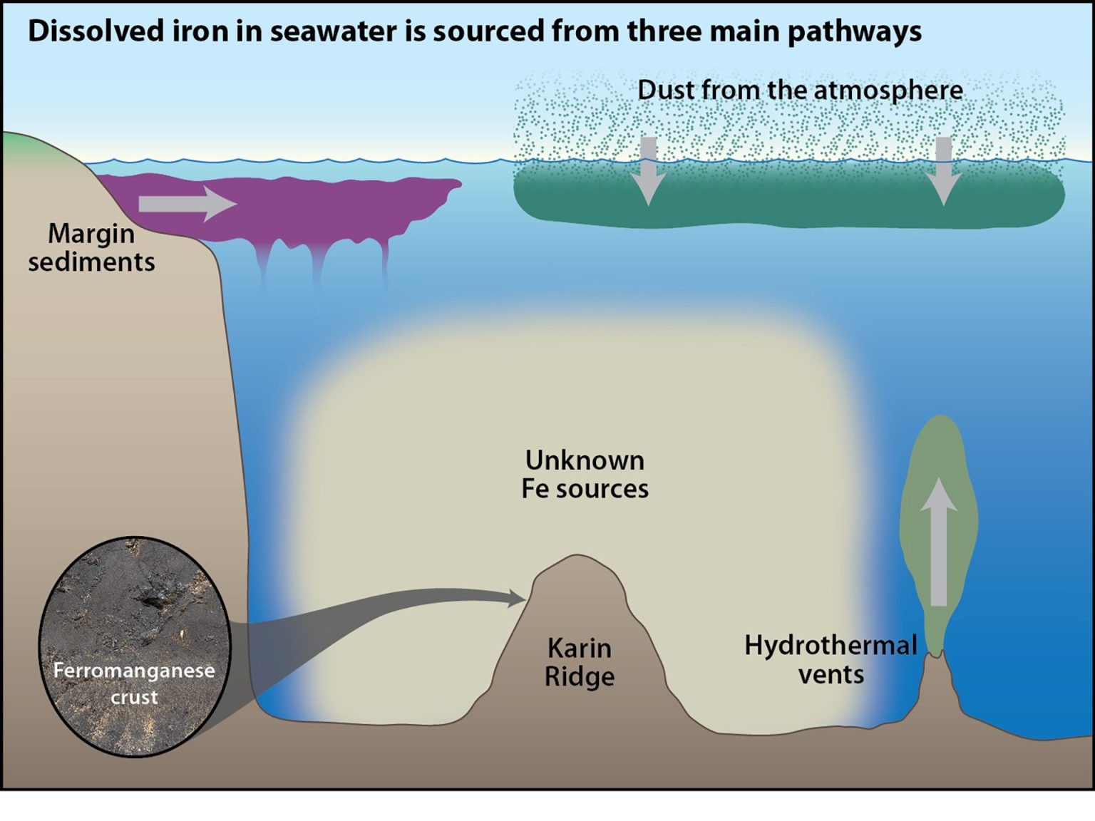 Sources of dissolved iron in seawater – Woods Hole Oceanographic ...