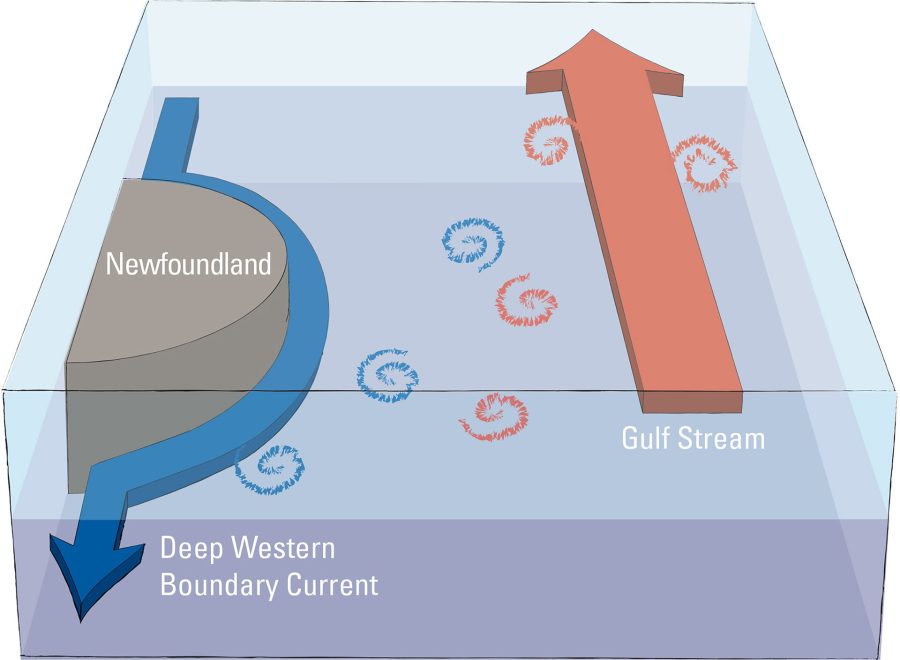 Opposing currents, Deep Western Boundary Current and Gulf Stream ...