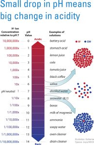 The pH Scale - Woods Hole Oceanographic Institution