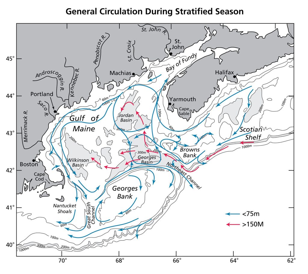 Gulf of Maine ocean circulation - Woods Hole Oceanographic Institution