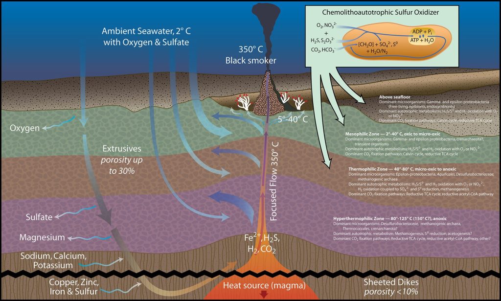 Life and chemistry at deep-sea hydrothermal vents – Woods Hole ...