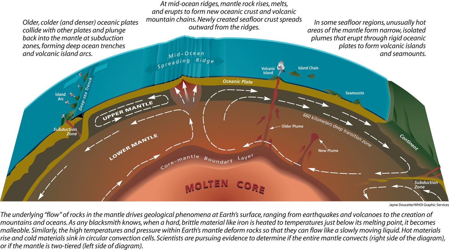 Is the mantle one big pot or is it double-decked? - Woods Hole ...