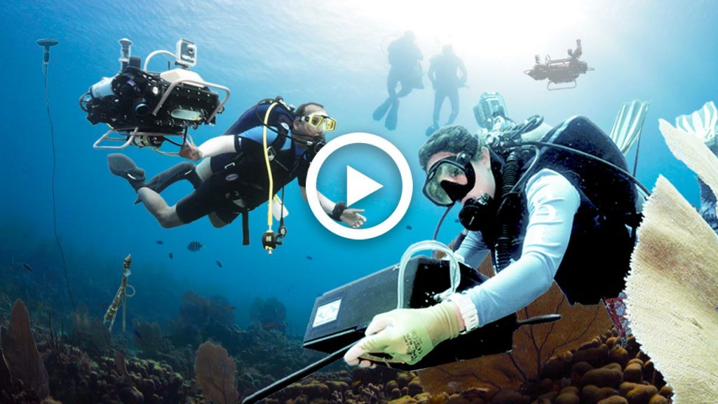 Dating Corals, Knowing the Ocean - Woods Hole Oceanographic Institution