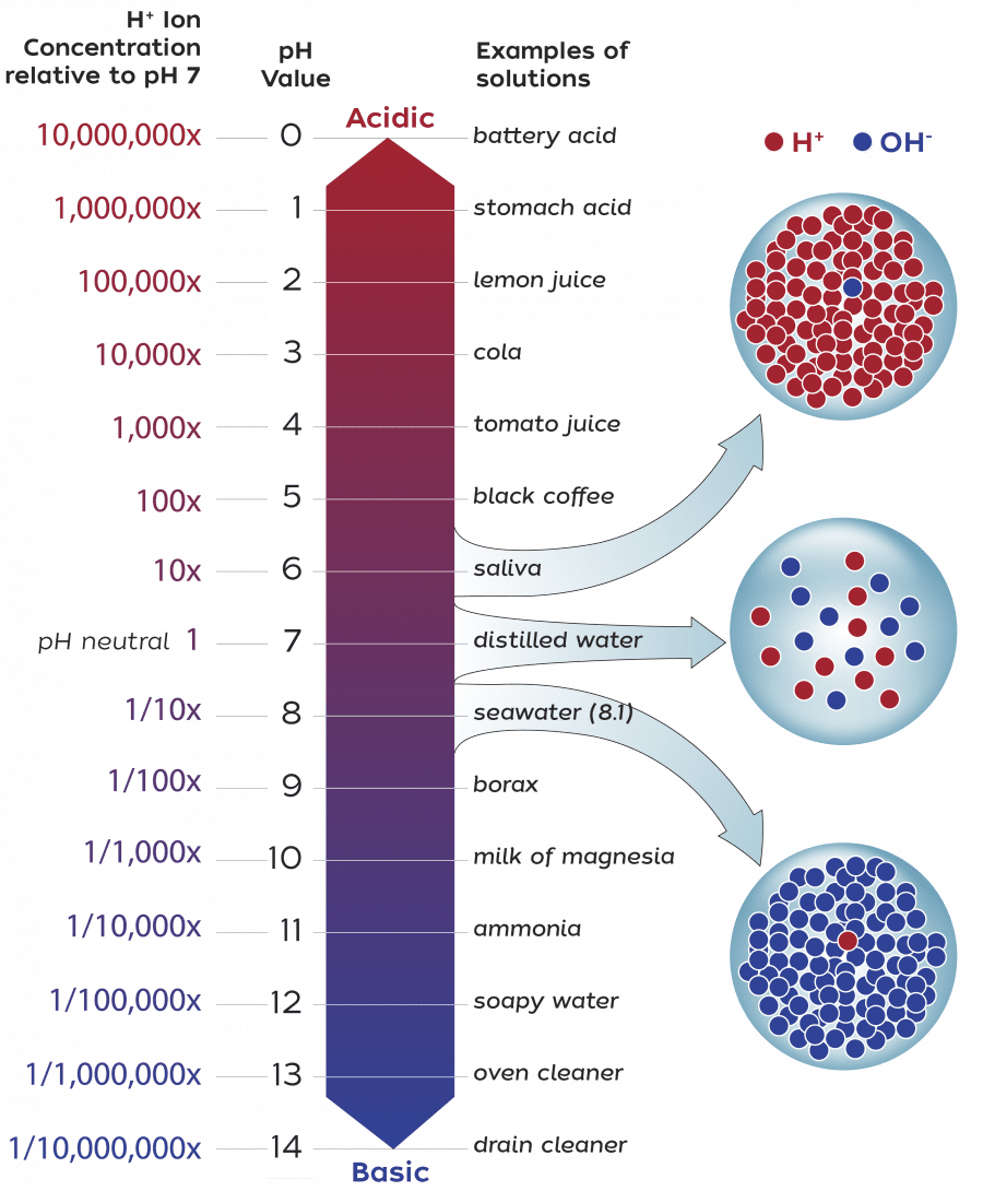 The pH Scale - Woods Hole Oceanographic Institution