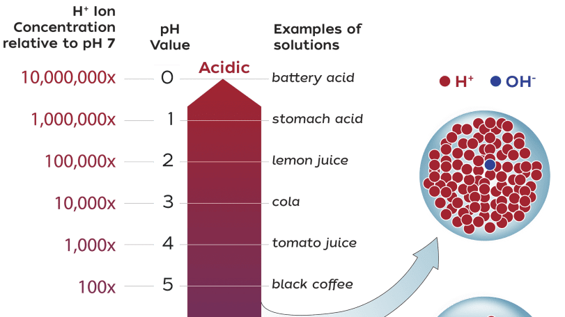 The pH Scale - Woods Hole Oceanographic Institution