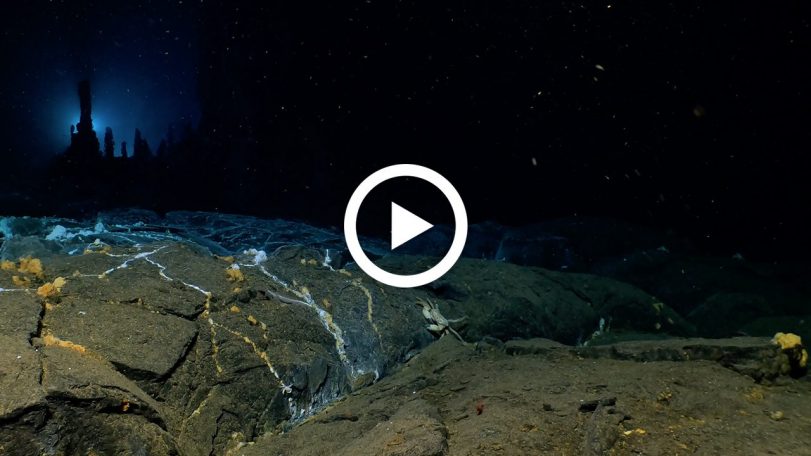 Life at Vents & Seeps - Woods Hole Oceanographic Institution