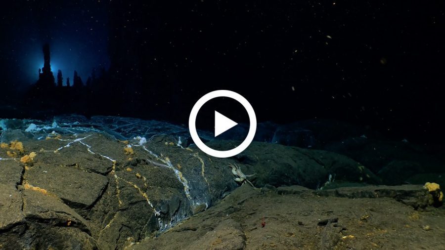 Life at Vents & Seeps - Woods Hole Oceanographic Institution
