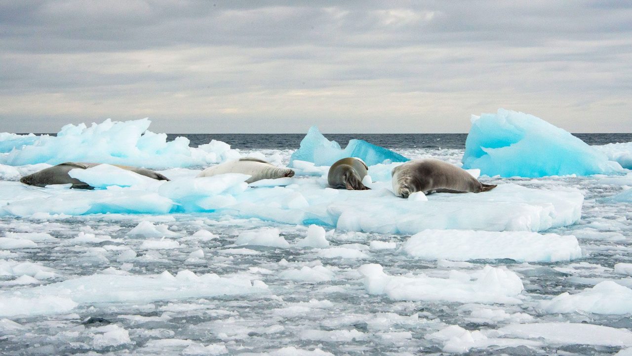 Frozen Ocean - Woods Hole Oceanographic Institution
