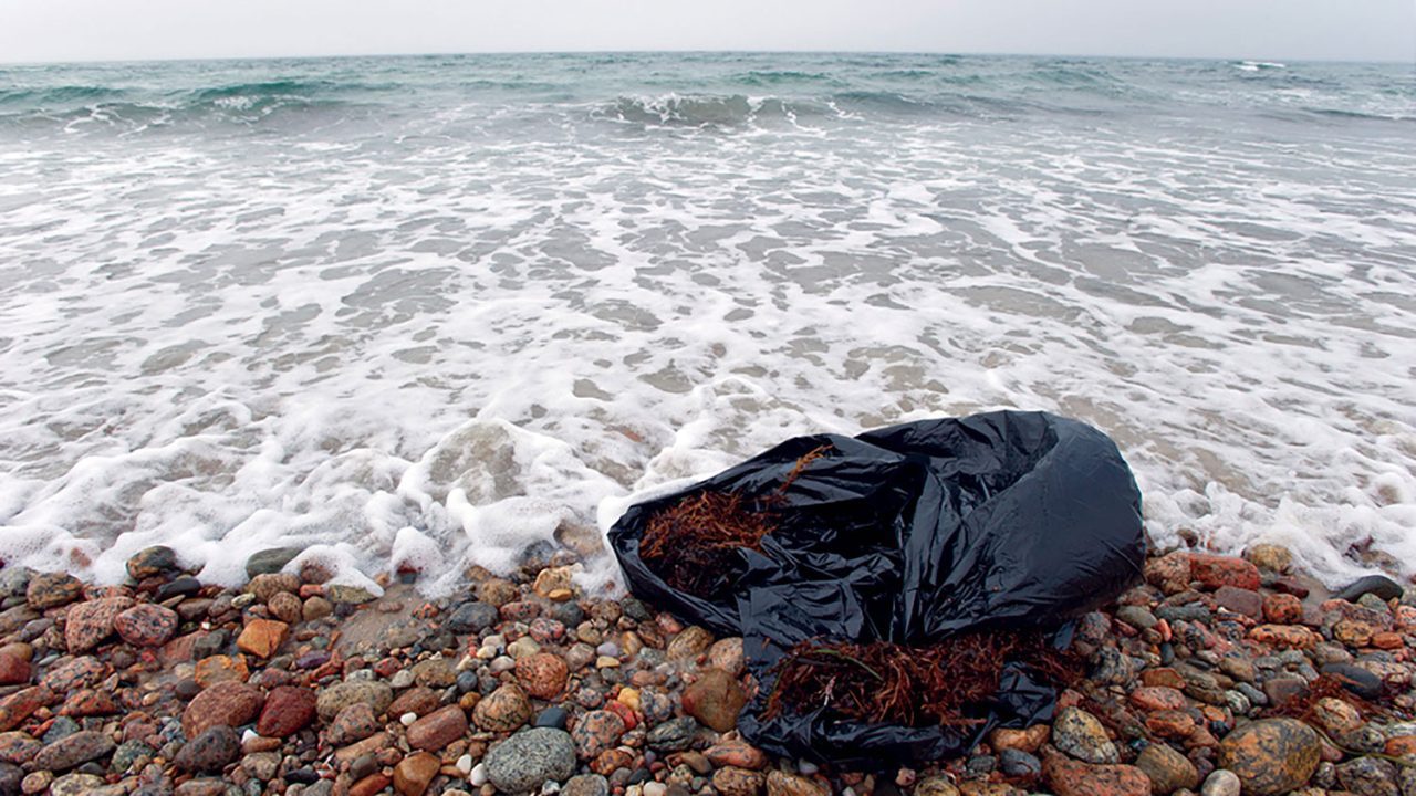 New report highlights plastic pollution as a grave and growing danger ...