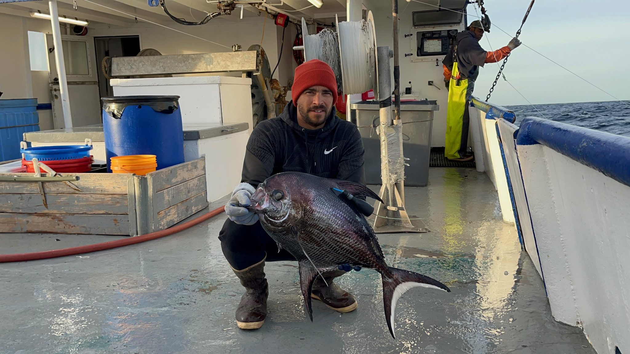 Bigscale pomfret are an ocean enigma - Woods Hole Oceanographic Institution