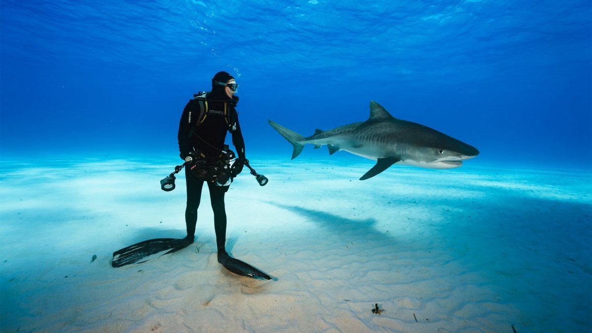 Oceanus Magazine | Woods Hole Oceanographic Institution