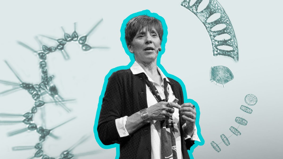 The little big picture