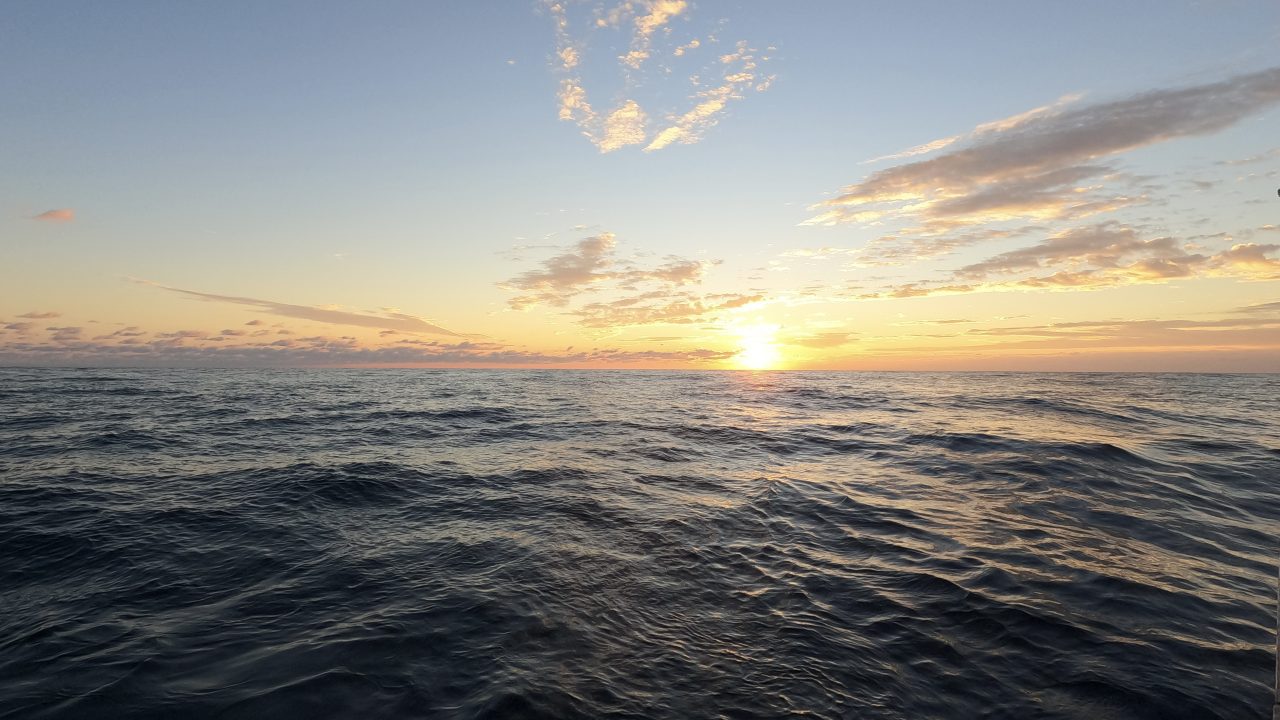 New WHOI-led study reveals hidden “chemical currency” fueling the ocean ...
