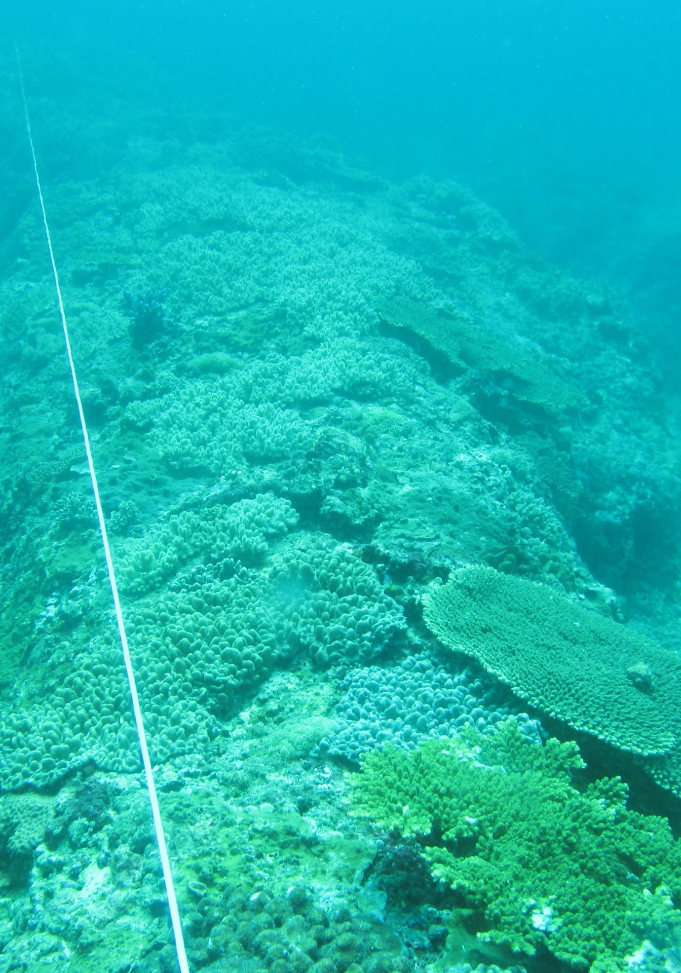 Scholar in Residence - Woods Hole Oceanographic Institution